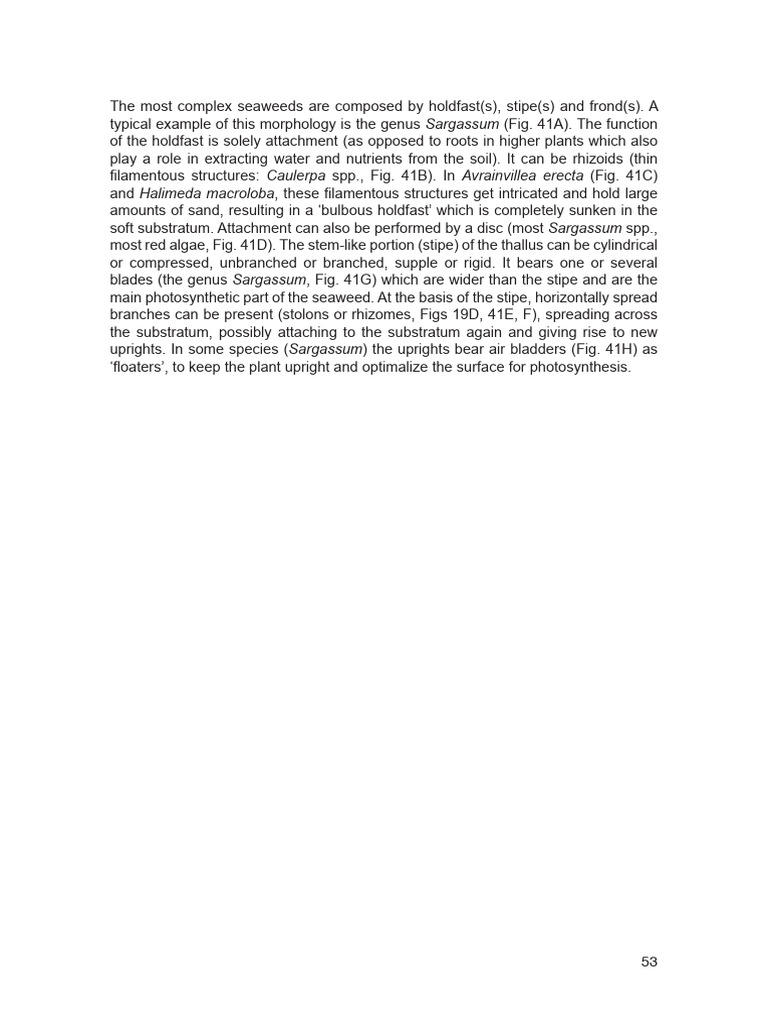 ABC TAXA 6 - HIGH RES - Part4 | PDF | Biology