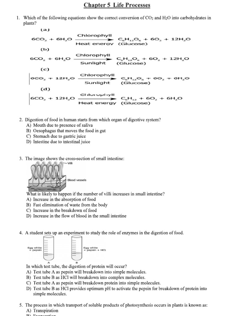 MCQ Bio Chapter 1 | PDF