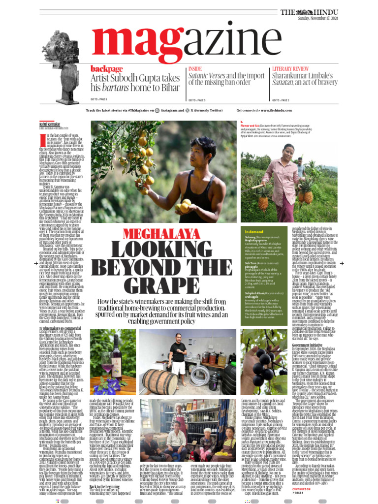 Hindu Sunday Magazine 17-11-24 | PDF | Winery | Wine