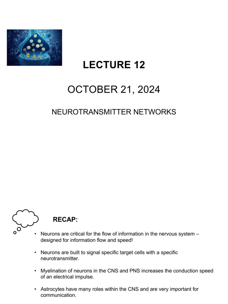 Lecture 12 - Neurotransmitter Networks Slides | PDF | Dopamine ... Lecture 12 - Neurotransmitter Networks Slides | PDF | Dopamine ...