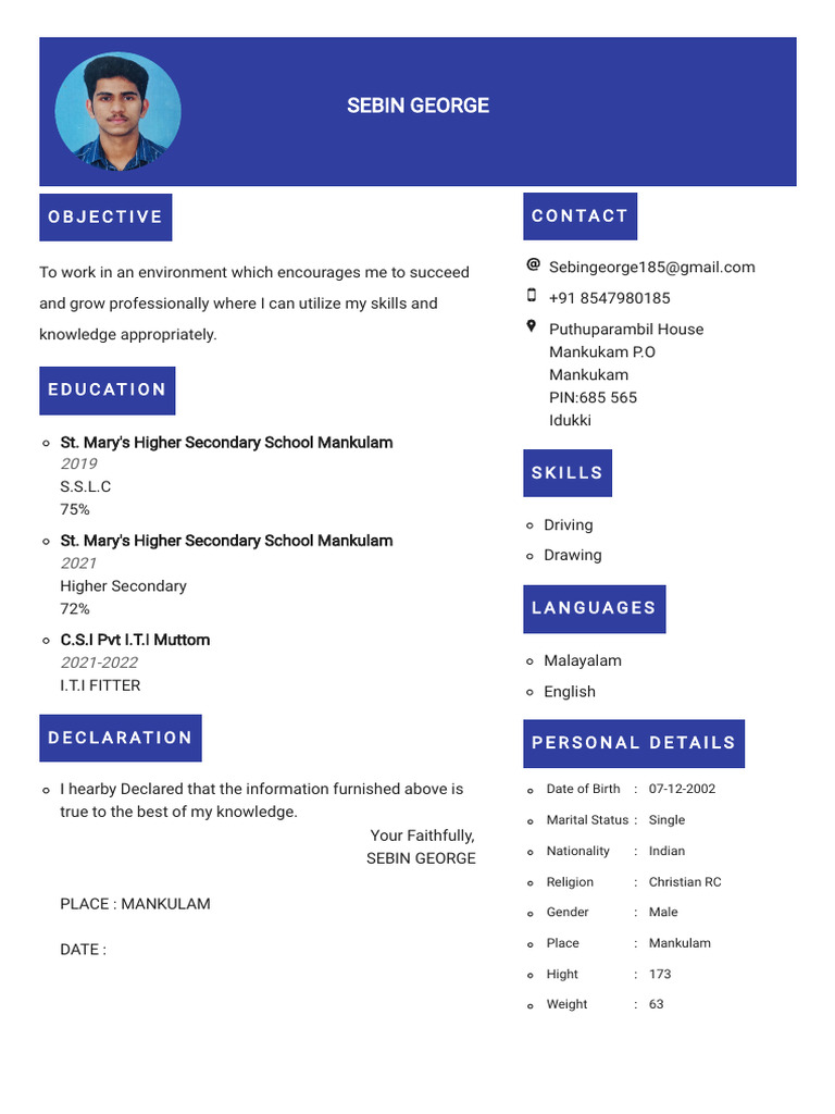 Sebin George Resume: Skills & Education | PDF