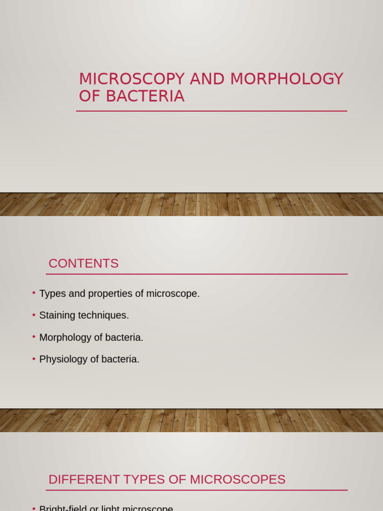 Bacterial Microscopy and Morphology Guide | PDF | Staining | Bacteria