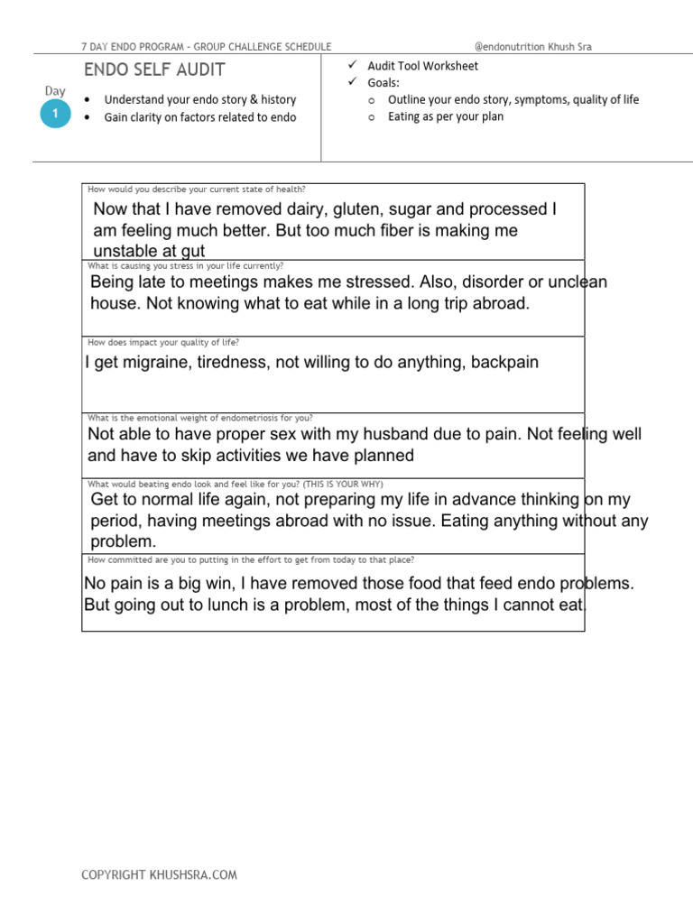 Endometriosis Self Audit Worksheet Tool | PDF