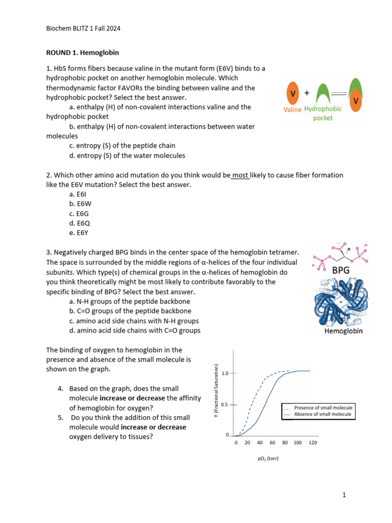 BC2024F Exam1 Biochem BLITZ BLANK-1 | PDF | Hemoglobin | Molecular Biology