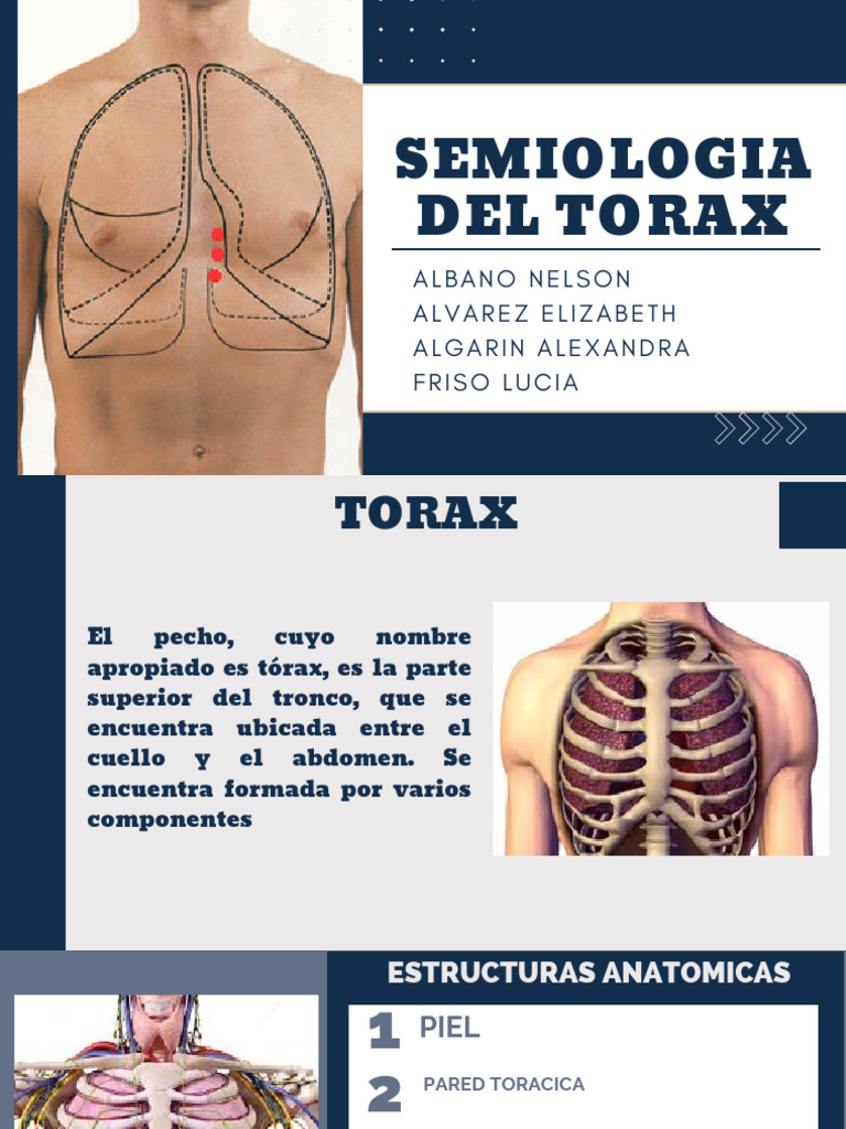 Semiologia de Torax | PDF | Pulmón | Tórax