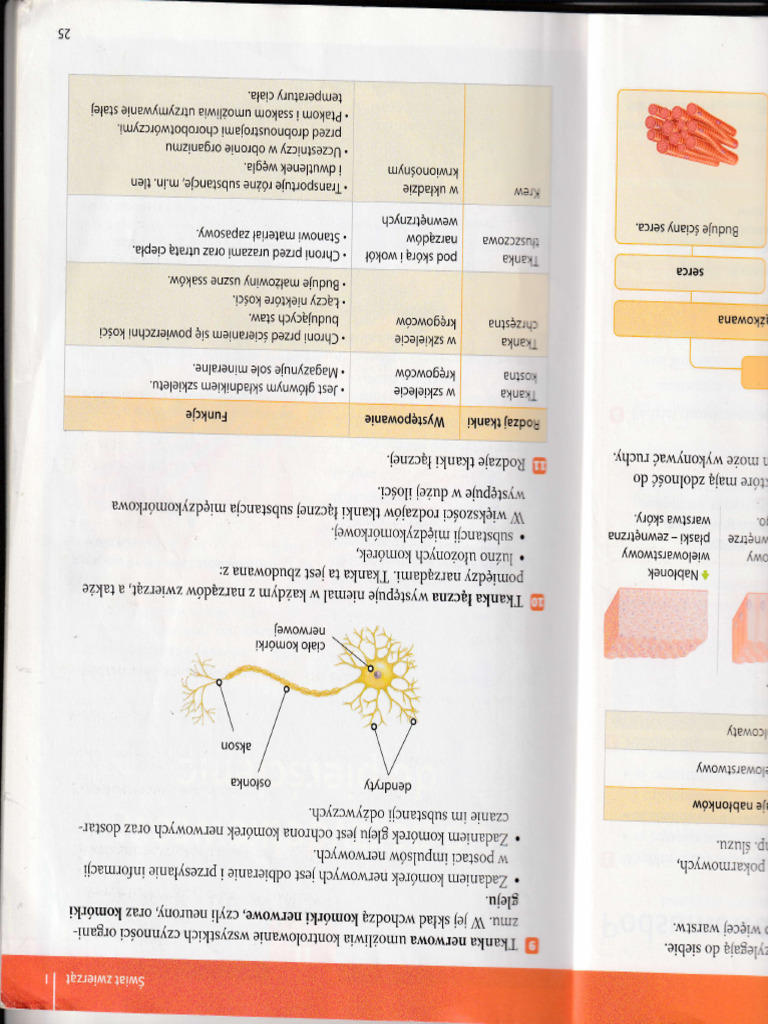 IMG_20250110_0023 | PDF