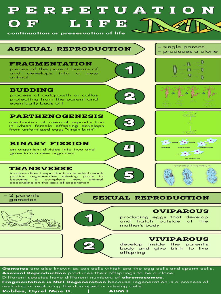 Perpetuation of Life - Infographics.pdf | PDF