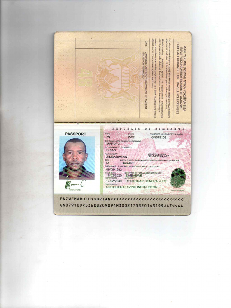 passport | PDF