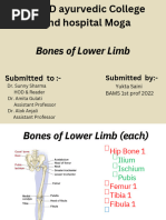 Label (Lower Limb Bone) | PDF | Pelvis | Limbs (Anatomy)