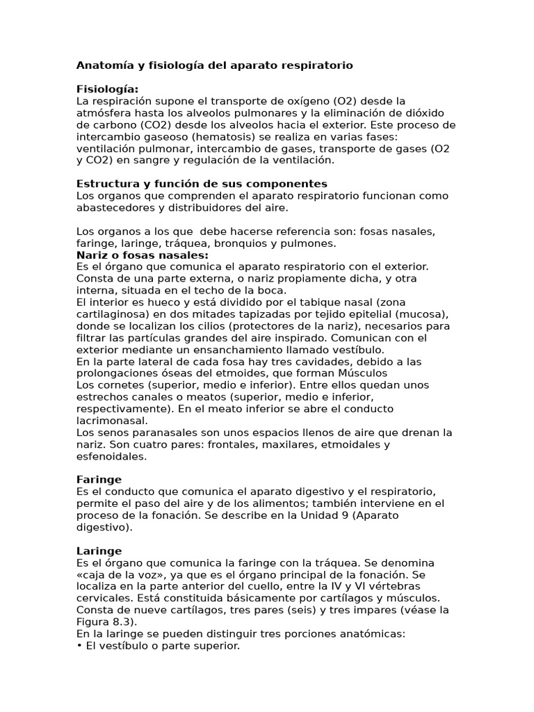 Anatomía - Jesús Velazquez | PDF | Pulmón | Nariz humana