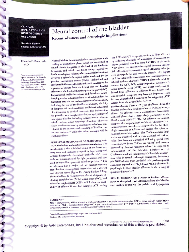 Neural Control of Bladder Function | PDF | Urination | Acetylcholine