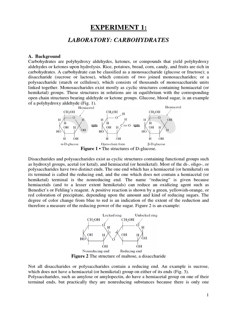 Lab - Carbohydrates | PDF | Carbohydrates | Hydrolysis