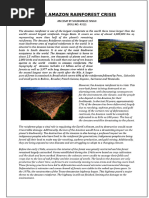 Amazon Deforestation Data and Graphs | PDF | Amazon Rainforest ...