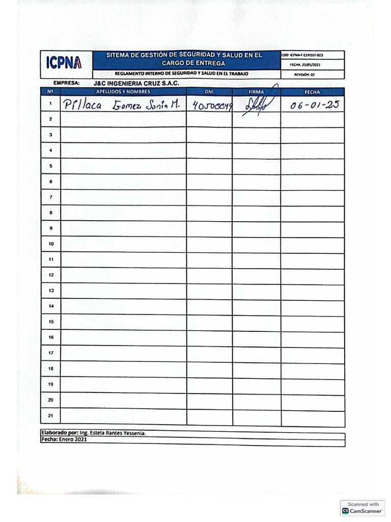 Cargo de Entrega Risst - Icpna | PDF