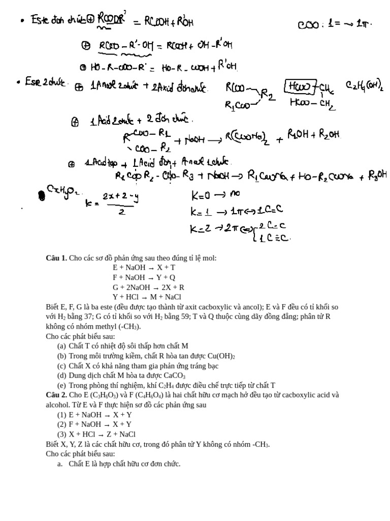 CTCT | PDF