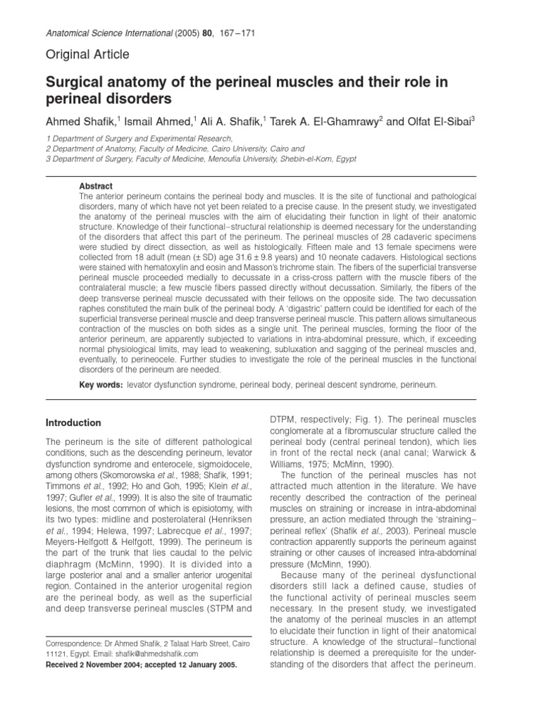 surgical anatomy | PDF | Pelvis
