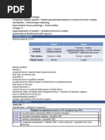 Rosenberg View | PDF | Radiology | X Ray