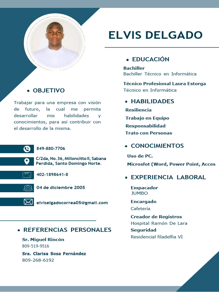 CV de Elvis Delgado: Habilidades y Experiencia | PDF
