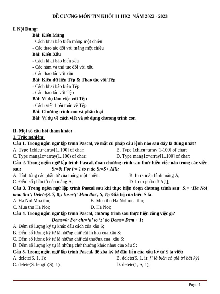 De Cuong Thi Tin 11 Hkii 2022-2023 | PDF