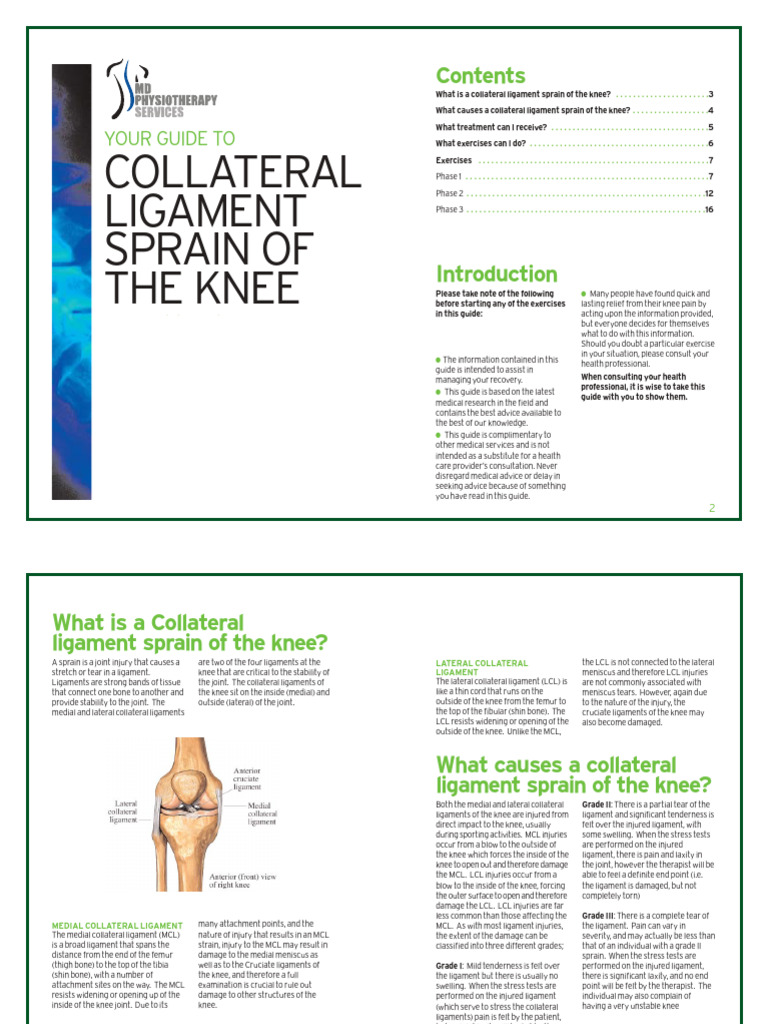 Knee-Collateral-Ligaments-Injury-min | PDF | Knee | Joints