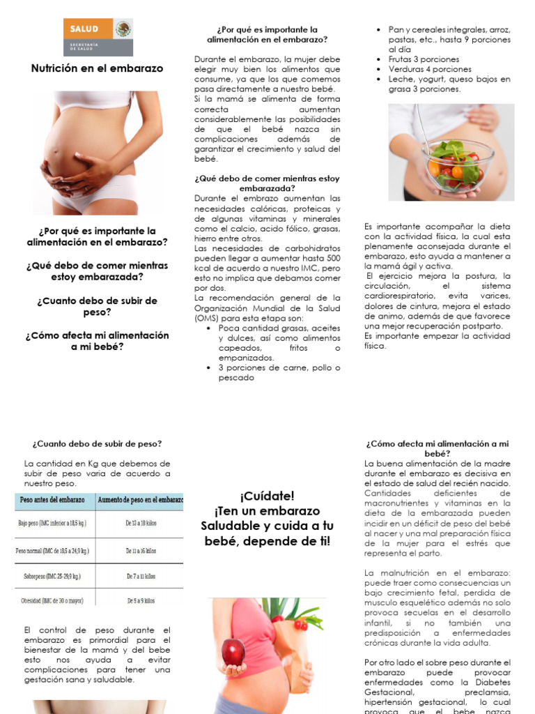 Nutricion en Embarazo Folleto | PDF | El embarazo | Alimentos