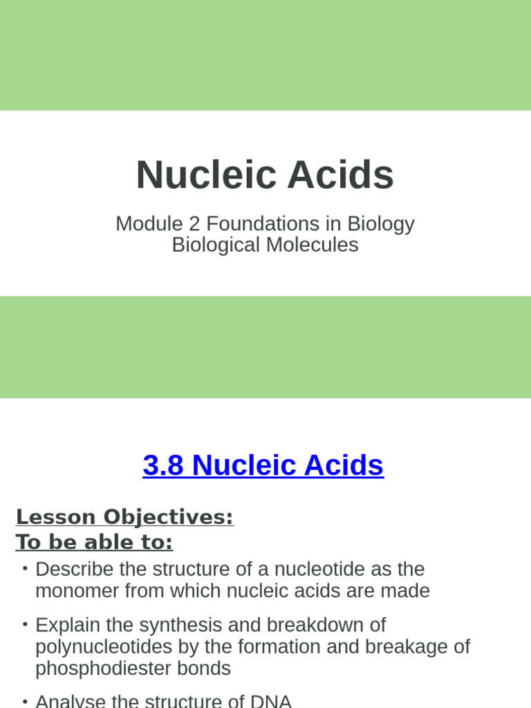 Nucleic Acids | PDF | Nucleic Acids | Nucleotides