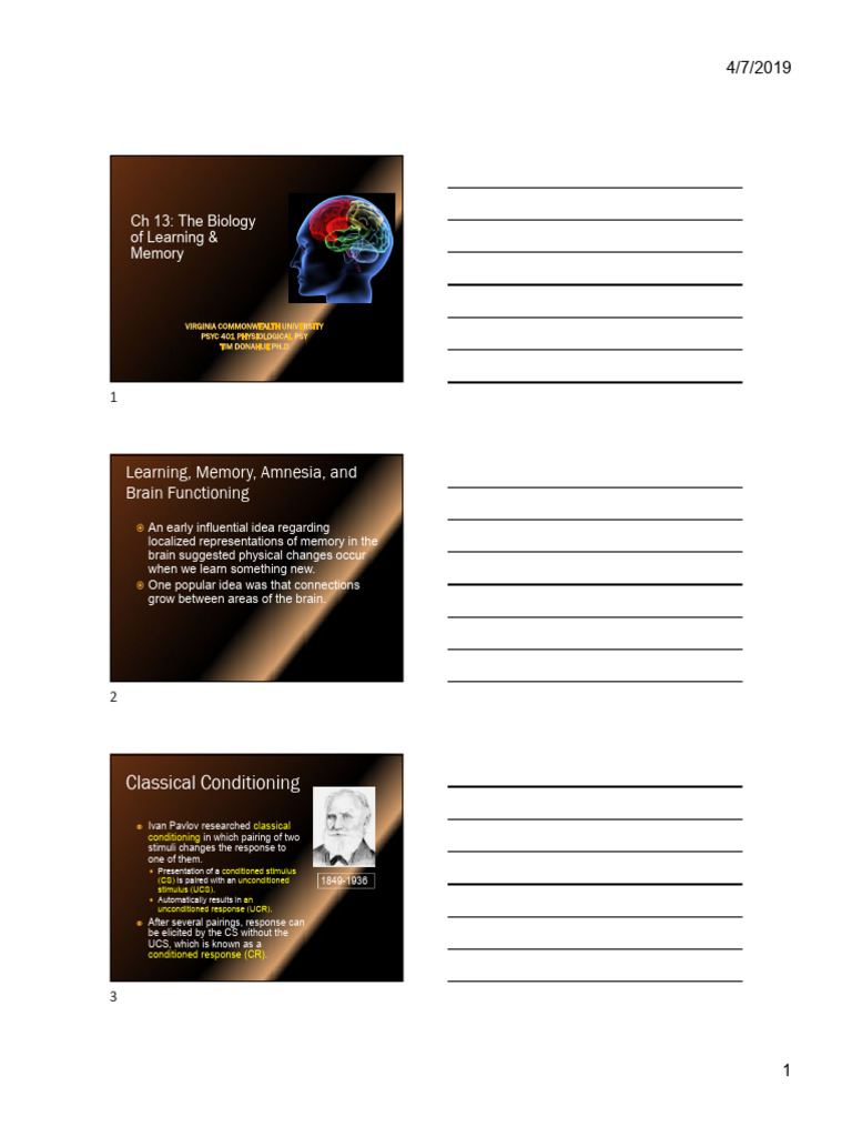 401 CH 12 Learning & Memory 12e Student Color Slides 4.8.19 | PDF ...