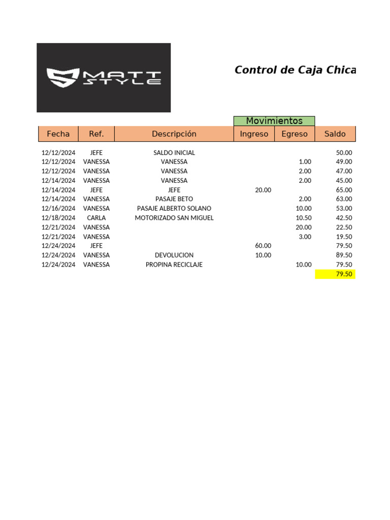 Control de Caja Chica 2024 Movimientos | PDF