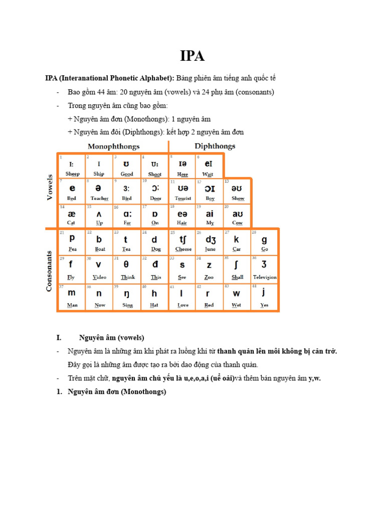 IPA Vowels | PDF