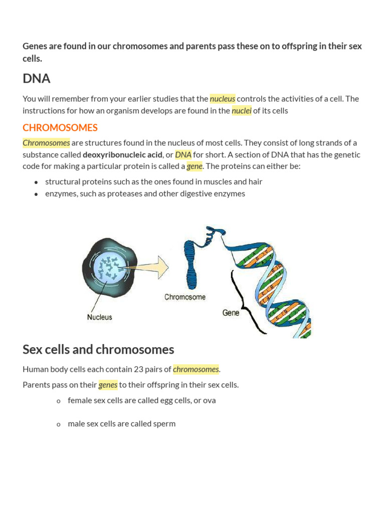 1 - READING - DNA, Genes and Chromosomes | PDF