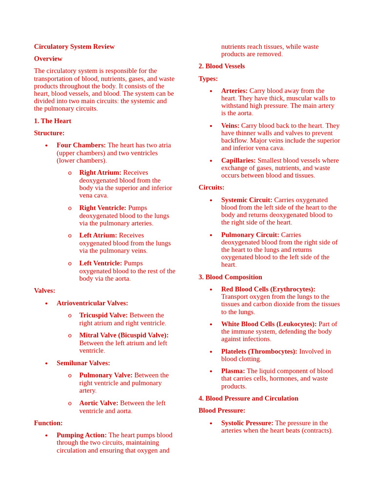Circulatory System Review | PDF | Heart | Blood