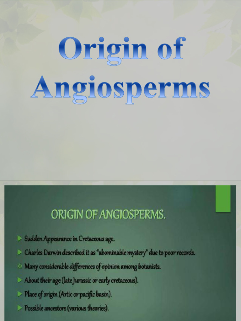 Taxonomy and Phylogeny of Angiosperms | PDF | Taxonomy (Biology) | Genus
