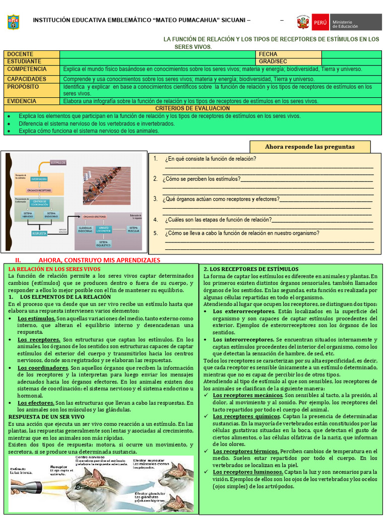 Función de Relación en Seres Vivos | PDF | Sistema nervioso | Neurona