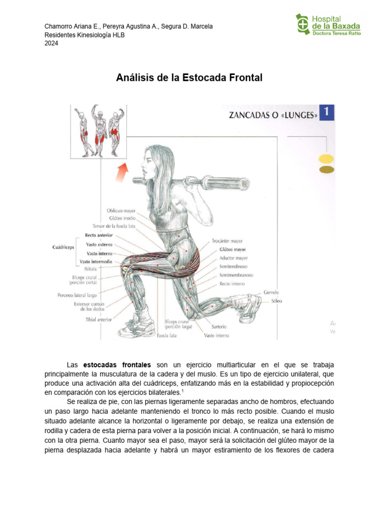 Análisis de la Estocada Frontal en Kinesiología | PDF | Rodilla ...