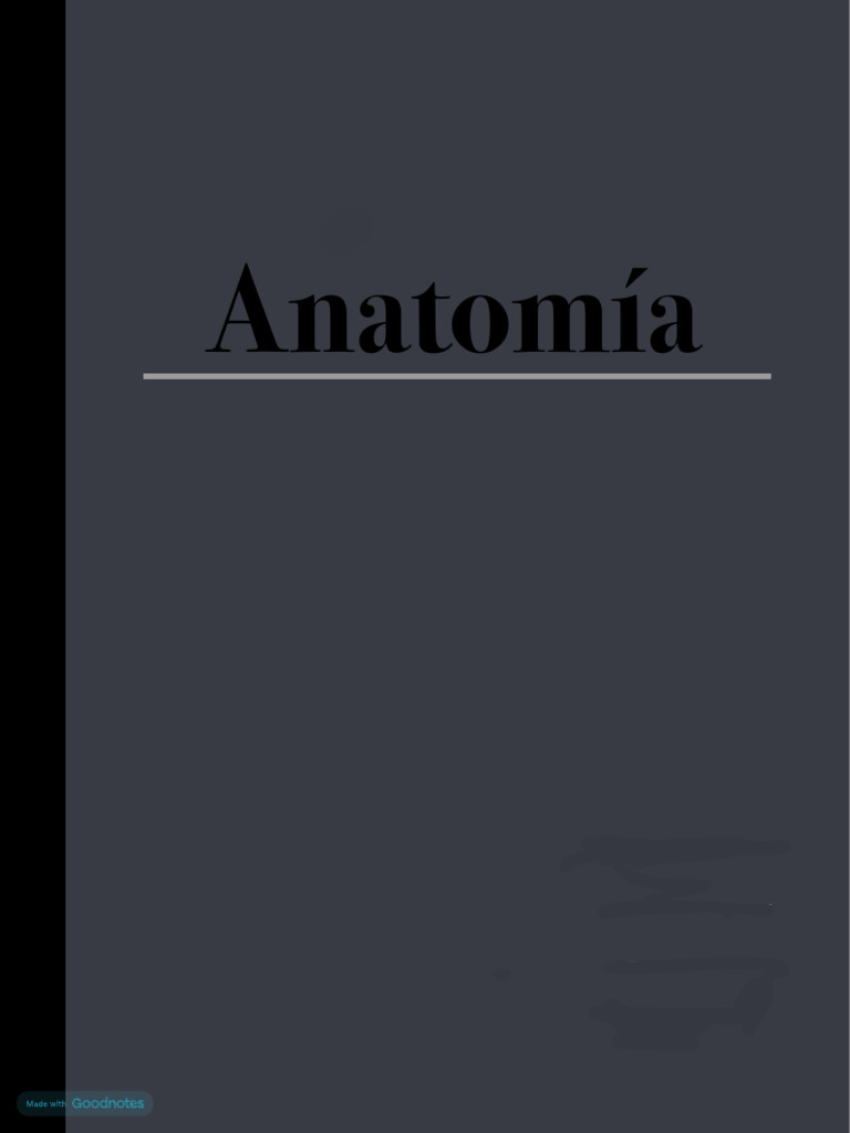 División del Cuerpo Humano en Anatomía | PDF | Anatomía | Tejido (biología)