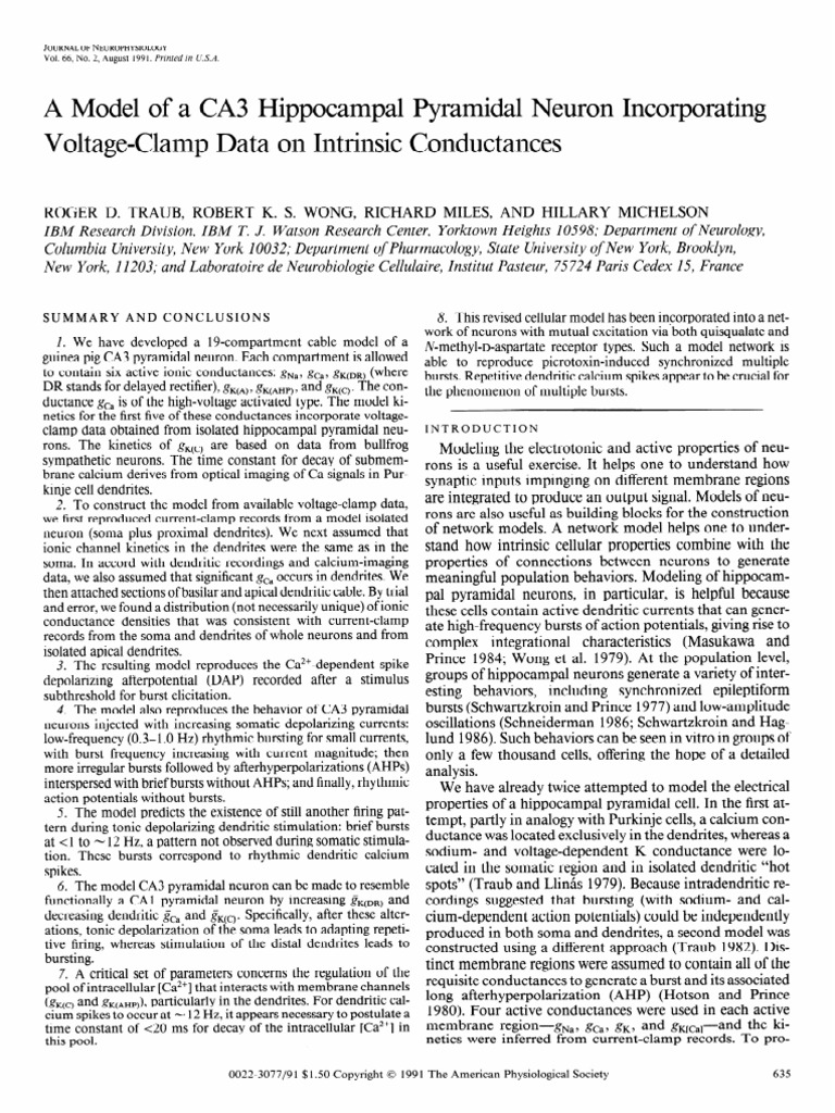 CA3 Hippocampal Neuron Model Insights | PDF | Dendrite | Action Potential
