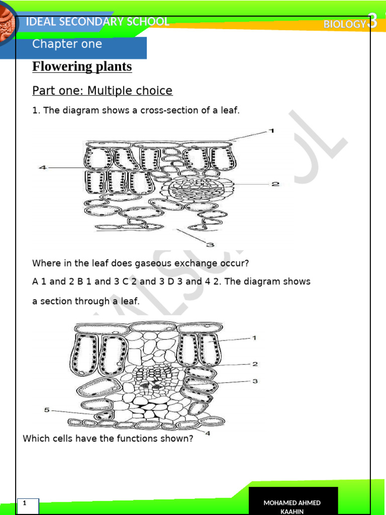 Updated Biology Form 3 | PDF | Flowers | Heart