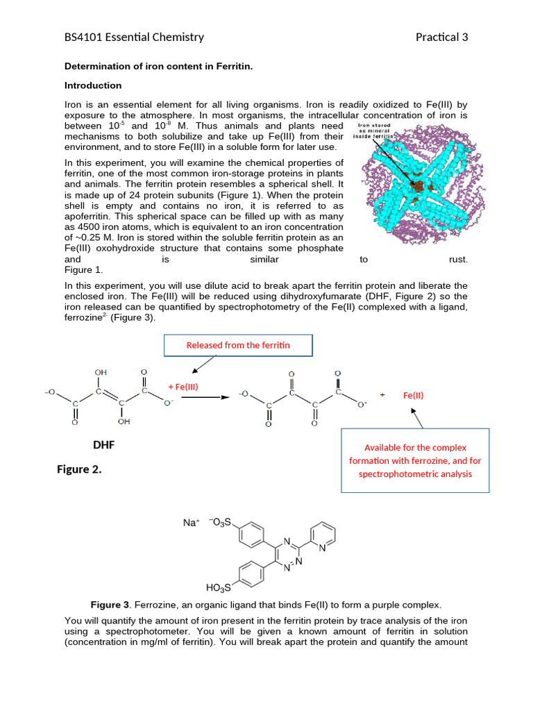 Practical 3_Protocol_Iron estimation in ferritin | PDF | Iron | Chemistry