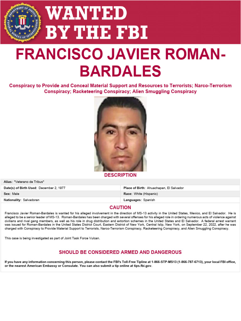 Francisco Javier Roman Bardales | PDF