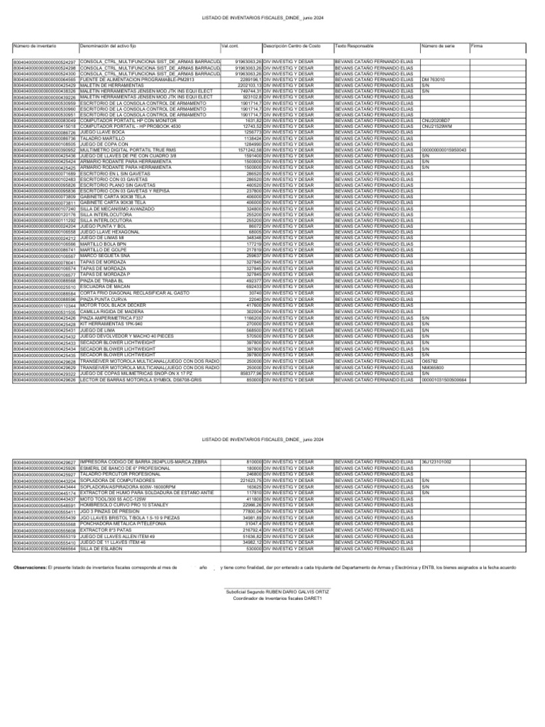 Inventario Fiscal Dinde Junio 2024 | PDF