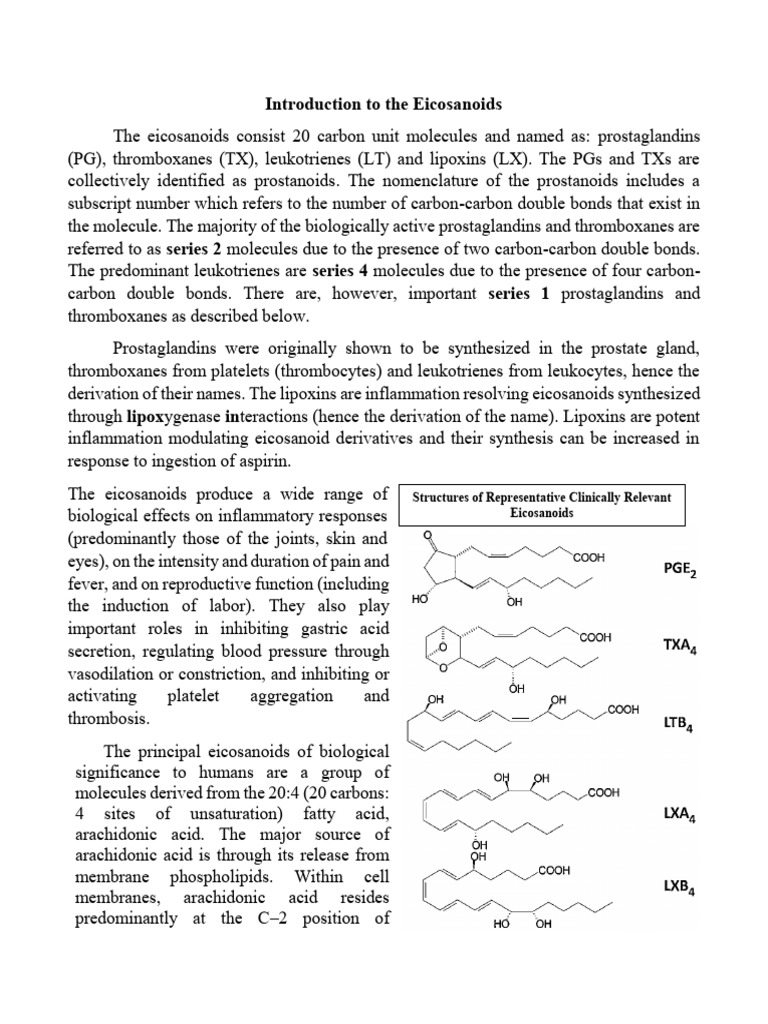 Introduction To The Eicosanoids | PDF | Prostaglandin | Fatty Acid