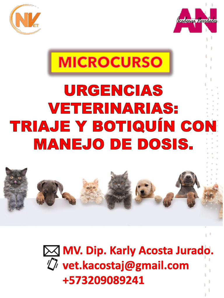 Triaje (Auto Save | PDF | Cuidado de la salud | Medicina CLINICA