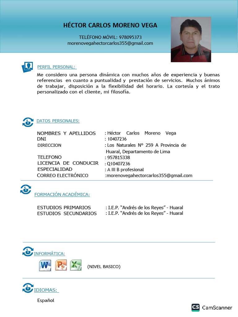 Perfil de Conductor Experto | PDF