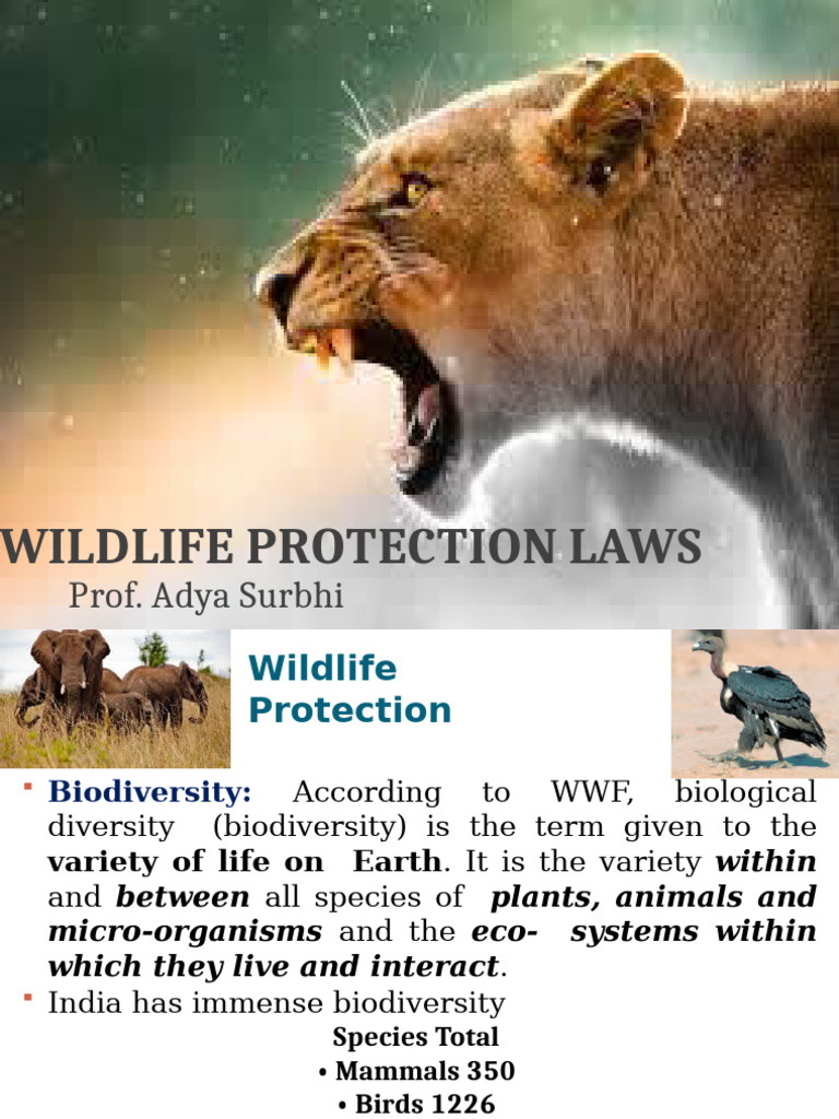 Wildlife Protection | PDF | Conservation Biology | Biodiversity