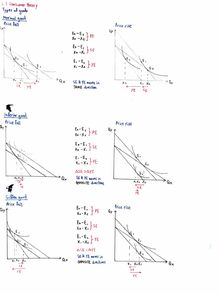 Consumer Theory Diagrams | PDF