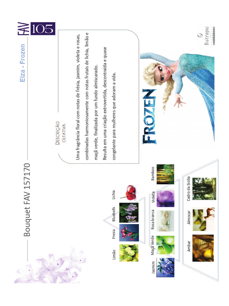 Frozen - Elza - Piramide Olfativa - FAV 157170 | PDF