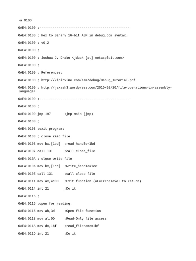 Hex to Binary ASM Conversion Guide | PDF | Computing | Computer Programming