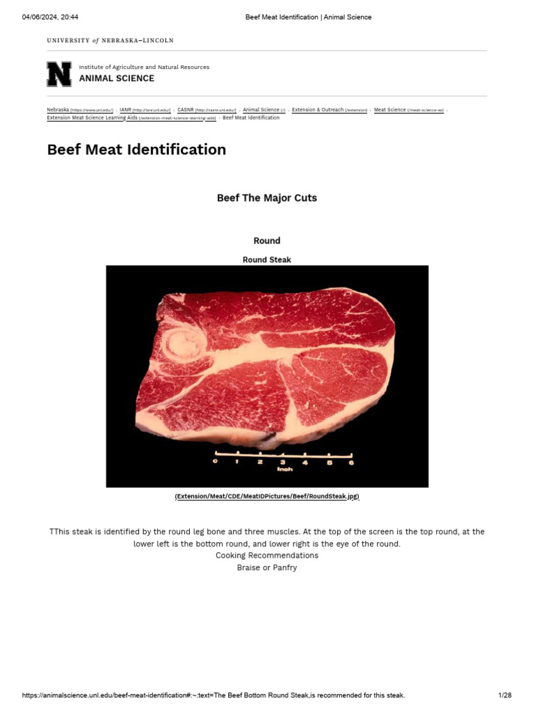 Beef Meat Identification - Animal Science | PDF | Steak | Chuck Steak