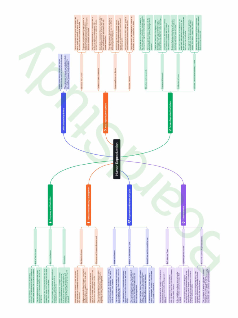 W Human Reproduction Mind Maps | PDF