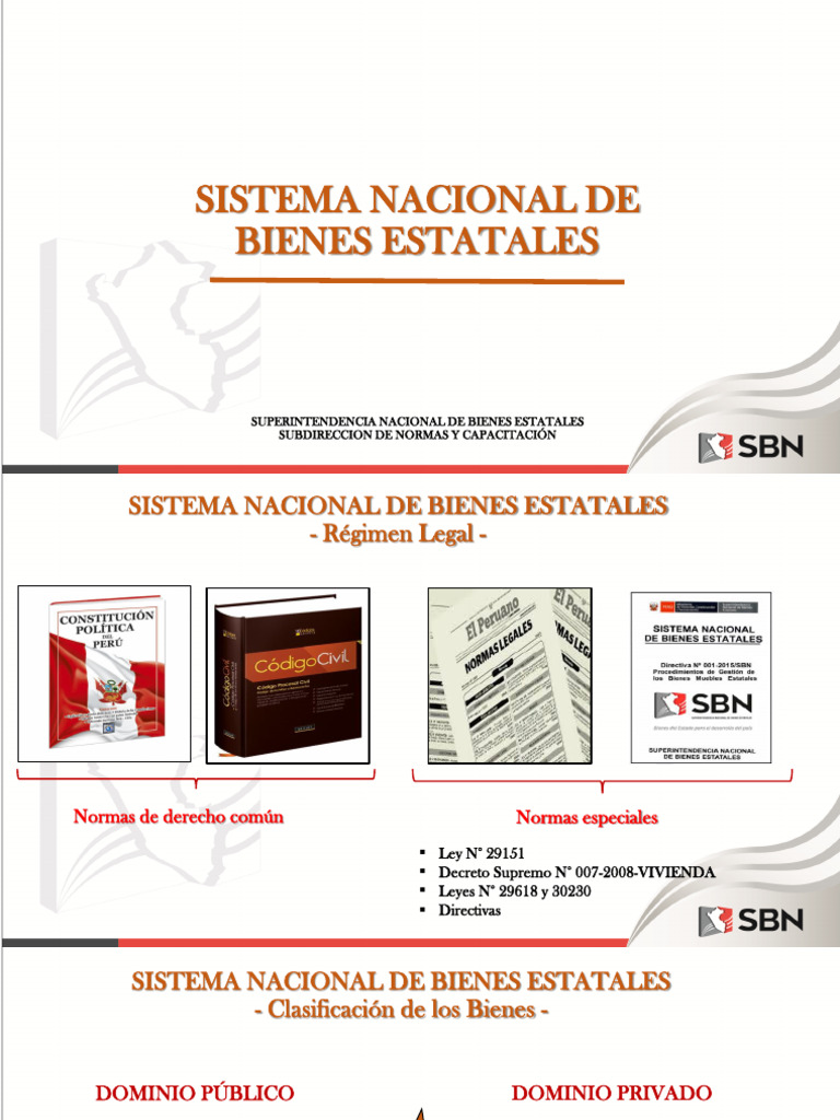 9. El Sistema Nacional de Bienes Estatales-sbn | PDF | Valoración (Finanzas) | Gobierno